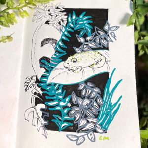 What is Inktober? | Ben Franklin Crafts and Frame Shop